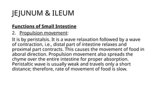 DUODENUM, JEJUNUM & ILEUM.. DUODENUM, JEJUNUM & ILEUM | PPT