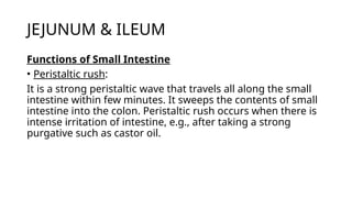 DUODENUM, JEJUNUM & ILEUM.. DUODENUM, JEJUNUM & ILEUM | PPT