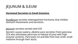 DUODENUM, JEJUNUM & ILEUM.. DUODENUM, JEJUNUM & ILEUM | PPTX