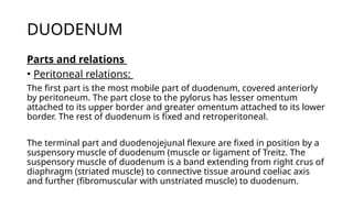 DUODENUM, JEJUNUM & ILEUM.. DUODENUM, JEJUNUM & ILEUM | PPTX