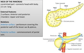 Duodenum & pancreas | PPTX