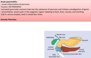 Duodenum & pancreas | PPTX