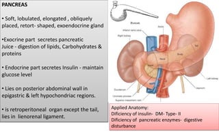 Duodenum & pancreas | PPT
