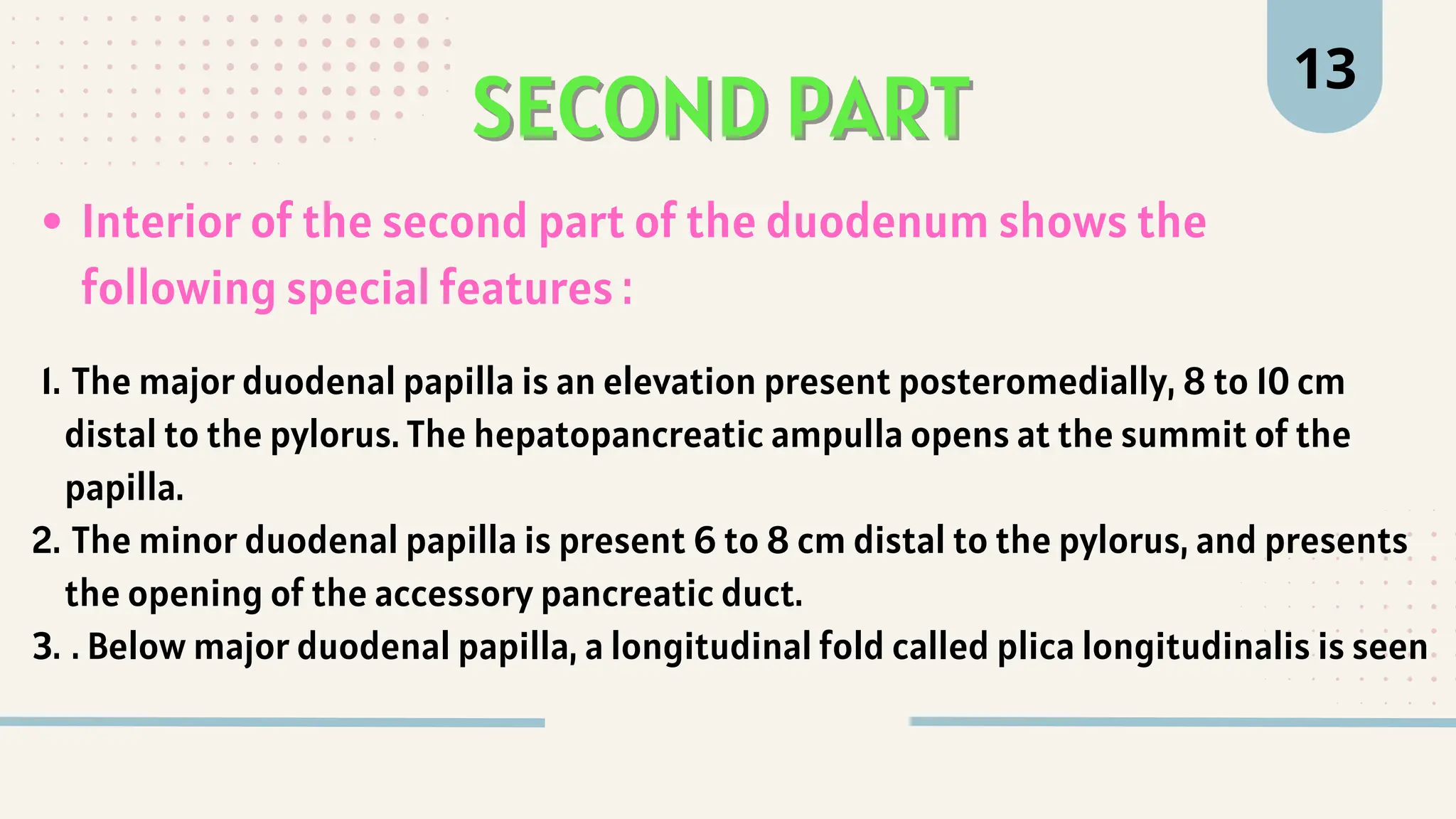Anatomy of Duodenum- detailed ppt presentation for science students | PDF