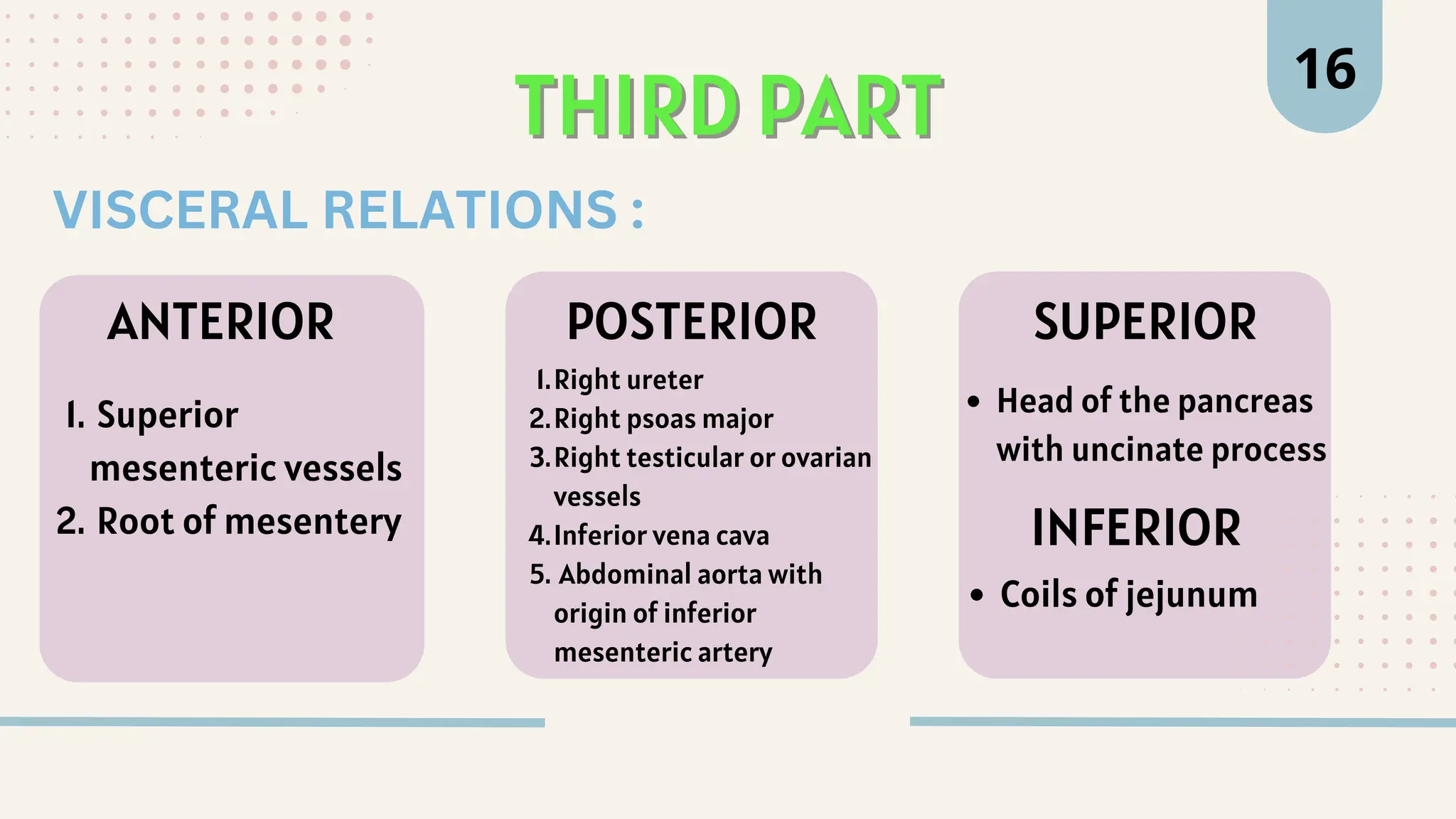 Anatomy of Duodenum- detailed ppt presentation for science students | PDF