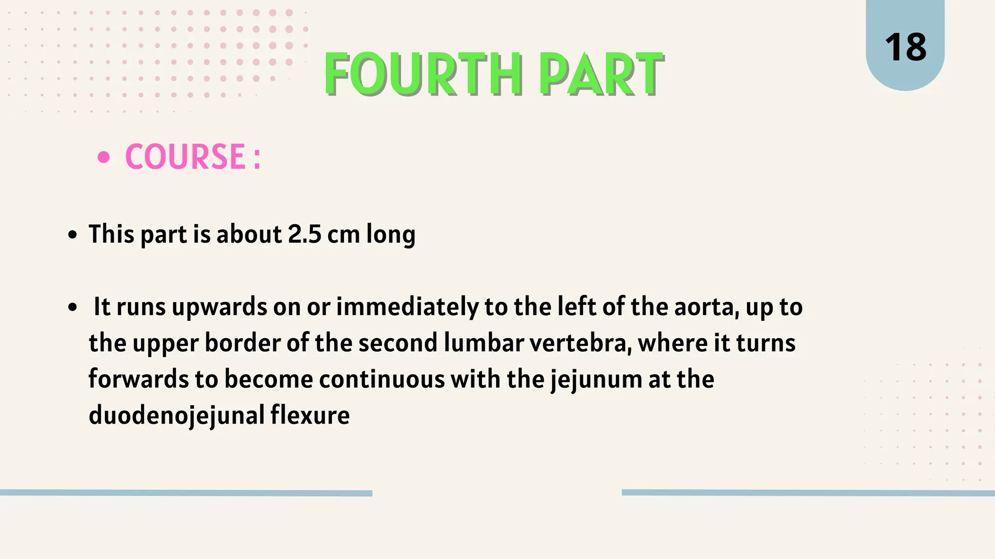 Anatomy of Duodenum- detailed ppt presentation for science students | PDF