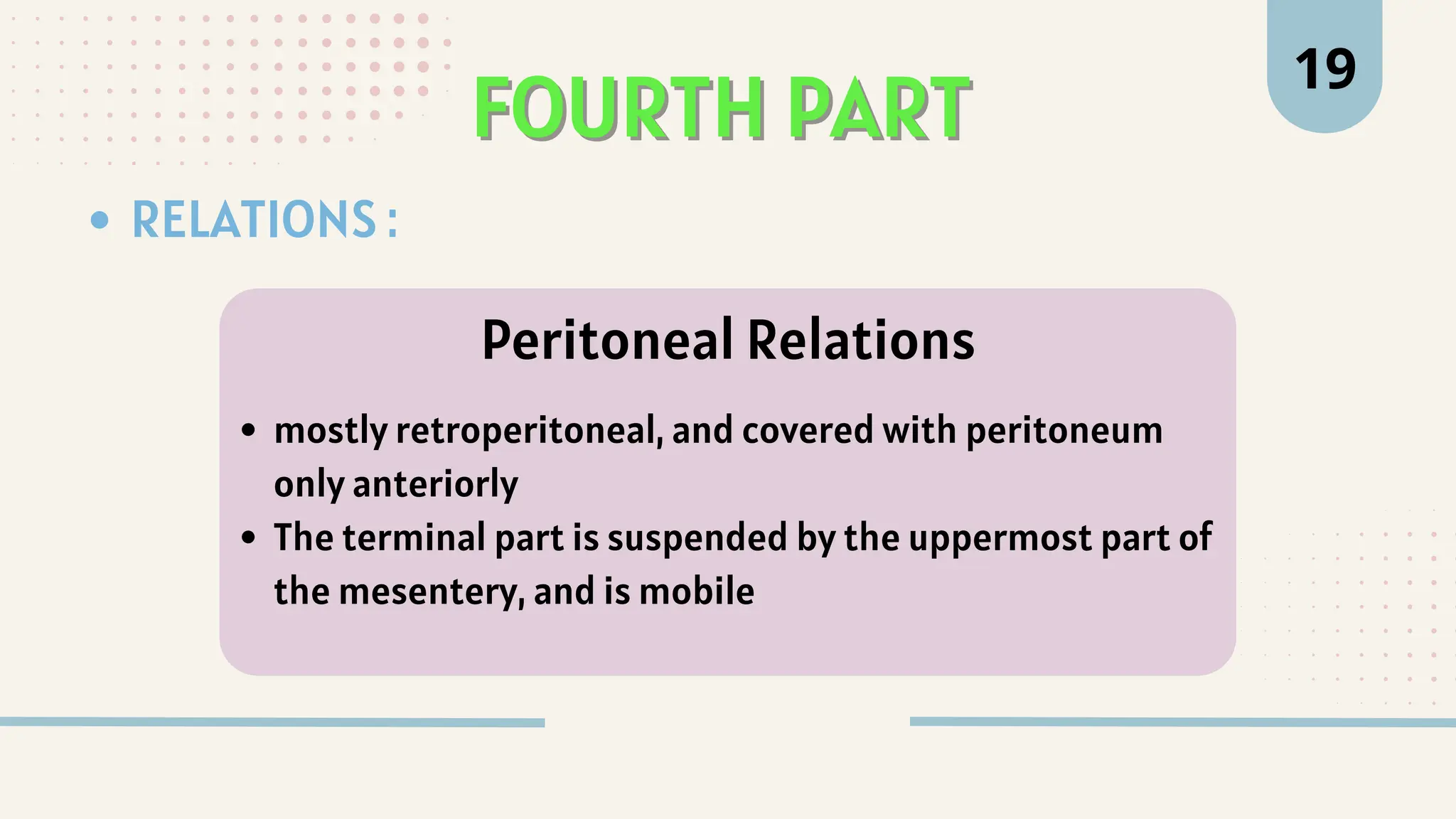Anatomy of Duodenum- detailed ppt presentation for science students | PDF