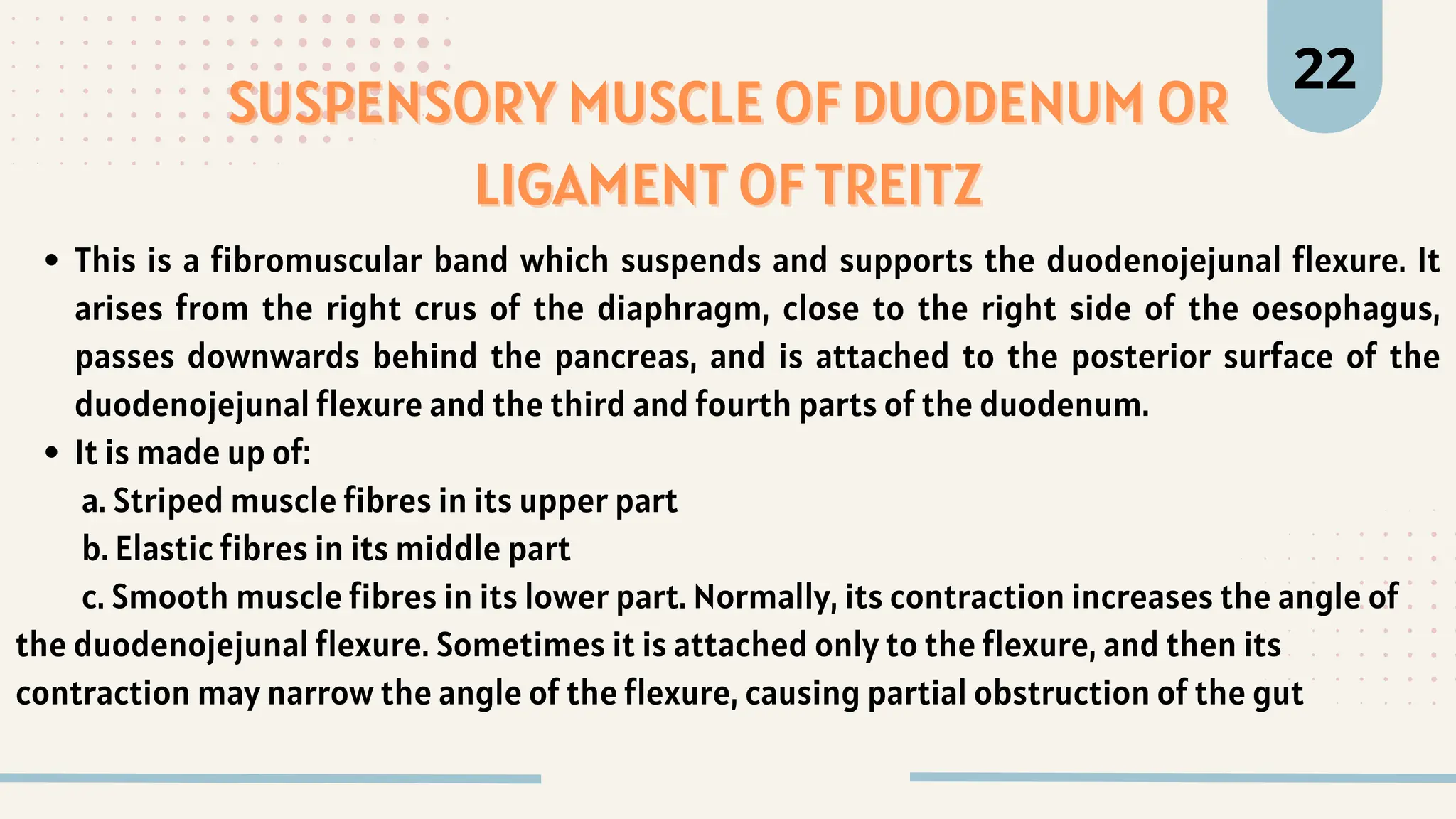 Anatomy of Duodenum- detailed ppt presentation for science students | PDF