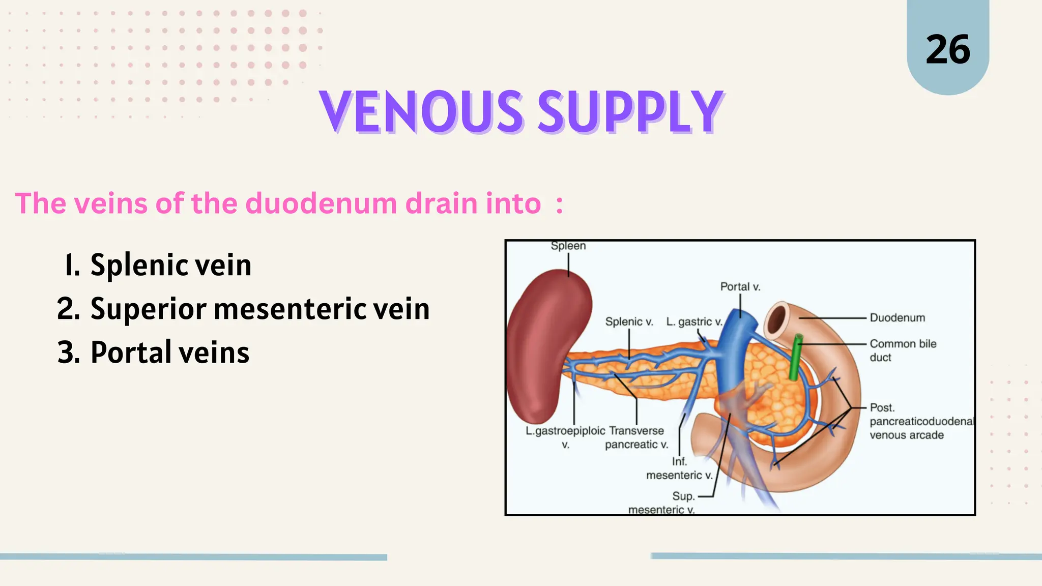 Anatomy of Duodenum- detailed ppt presentation for science students | PDF