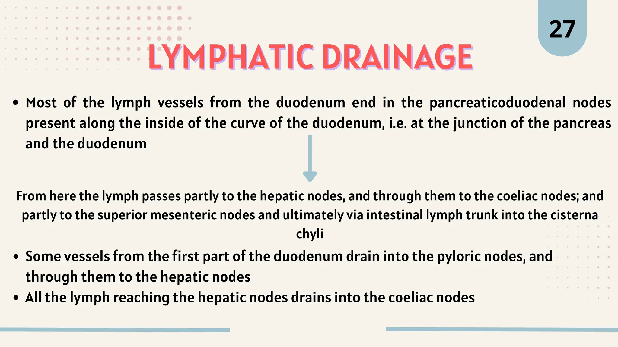 Anatomy of Duodenum- detailed ppt presentation for science students | PDF