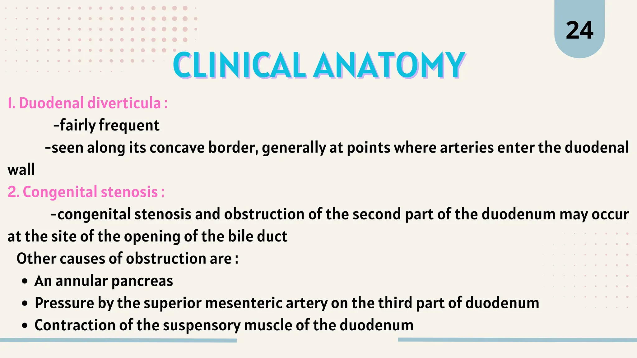 Anatomy of Duodenum- detailed ppt presentation for science students | PDF