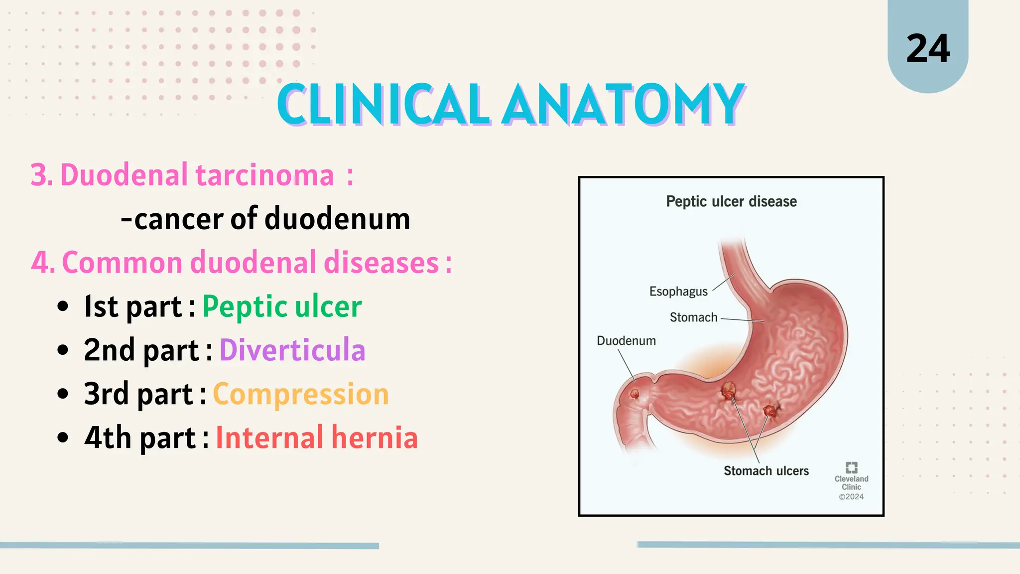Anatomy of Duodenum- detailed ppt presentation for science students | PDF