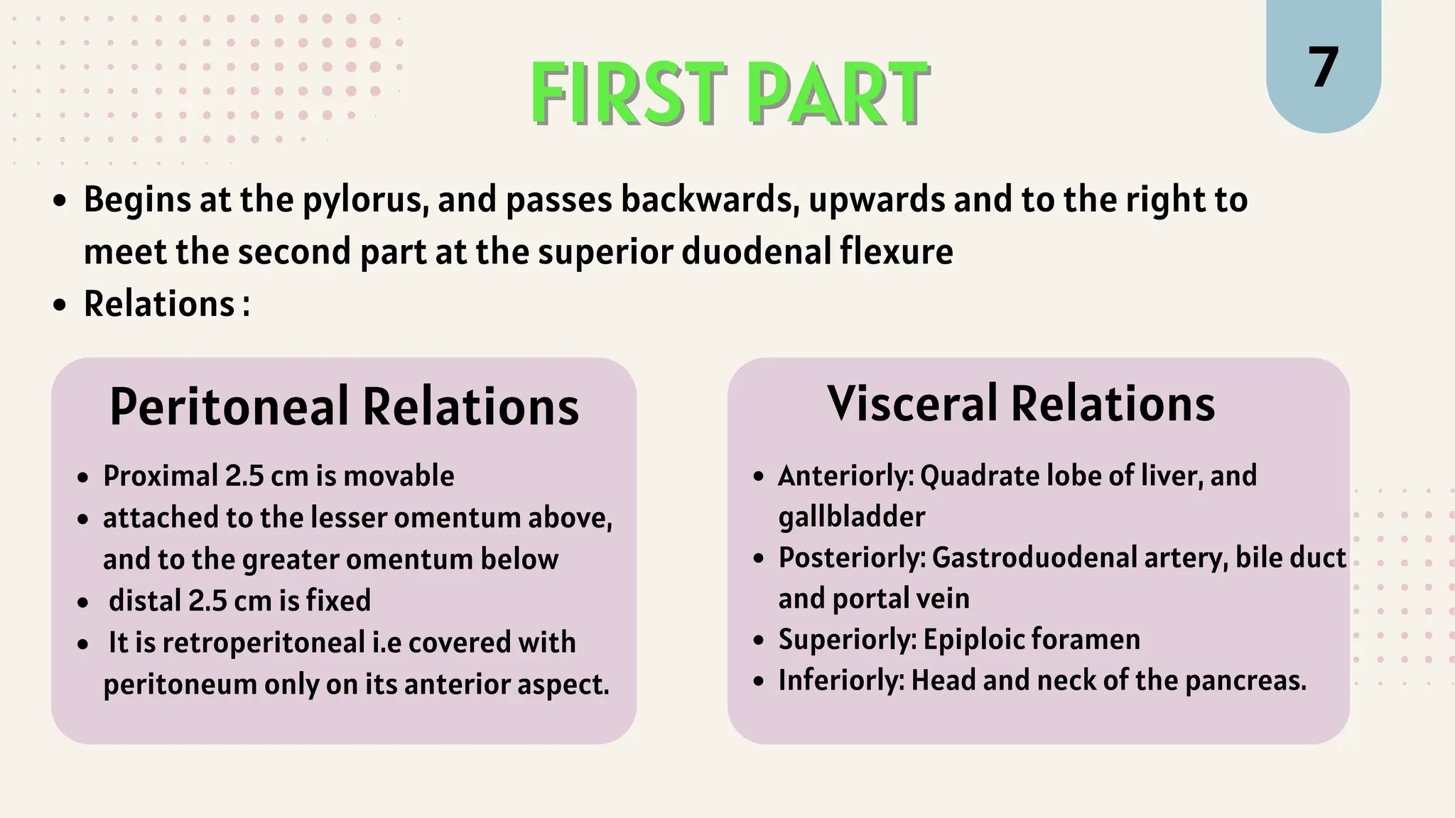 Anatomy of Duodenum- detailed ppt presentation for science students | PDF