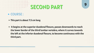 Anatomy of Duodenum- detailed ppt presentation for science students | PDF