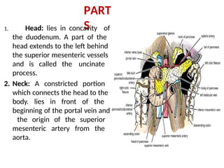 duodenum ppt by Dr. Vishal Sharma.pptx study | PPTX