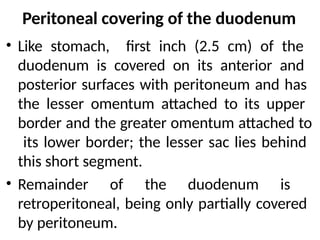 duodenum ppt by Dr. Vishal Sharma.pptx study | PPTX