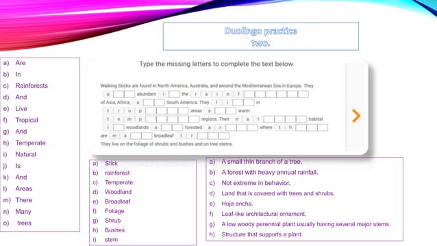 Duolingo practice.pptx