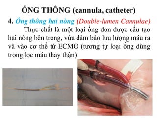 thiết lập các đường vào mạch máu ứng dụng ecmo | PDF