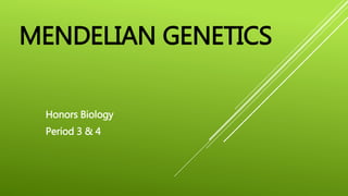 Mendelian Genetics | PPTX