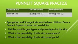 Mendelian Genetics | PPT