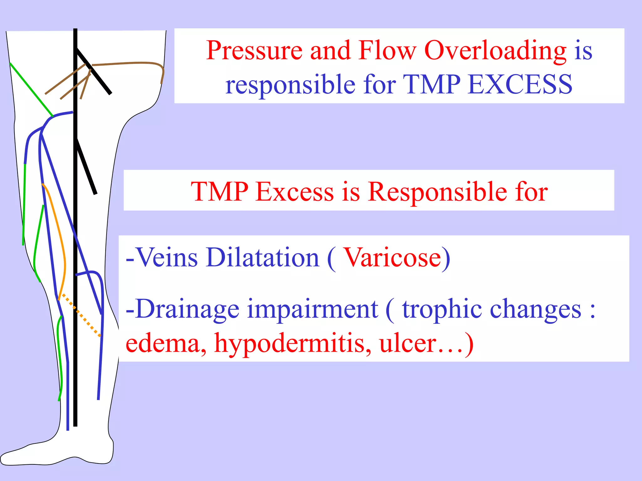 Duplex assessment of venous hemodynamics 3 oct 13th, 2011, morning ...