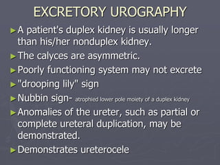 DUPLEX COLLECTING SYSTEM FOR DOCTORS .pptx