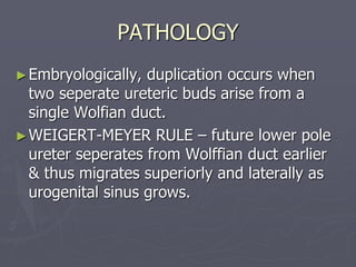 DUPLEX COLLECTING SYSTEM FOR DOCTORS .pptx