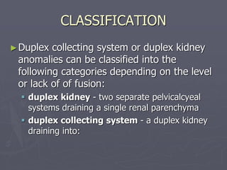 DUPLEX COLLECTING SYSTEM FOR DOCTORS .pptx