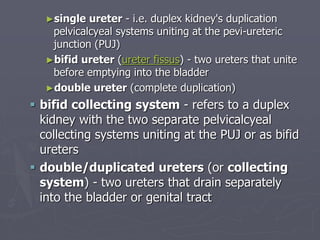 DUPLEX COLLECTING SYSTEM FOR DOCTORS .pptx