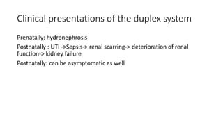 Duplex system.pptx