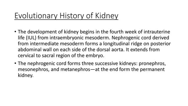 Duplex system.pptx | Science