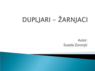 Dupljari | PPS
