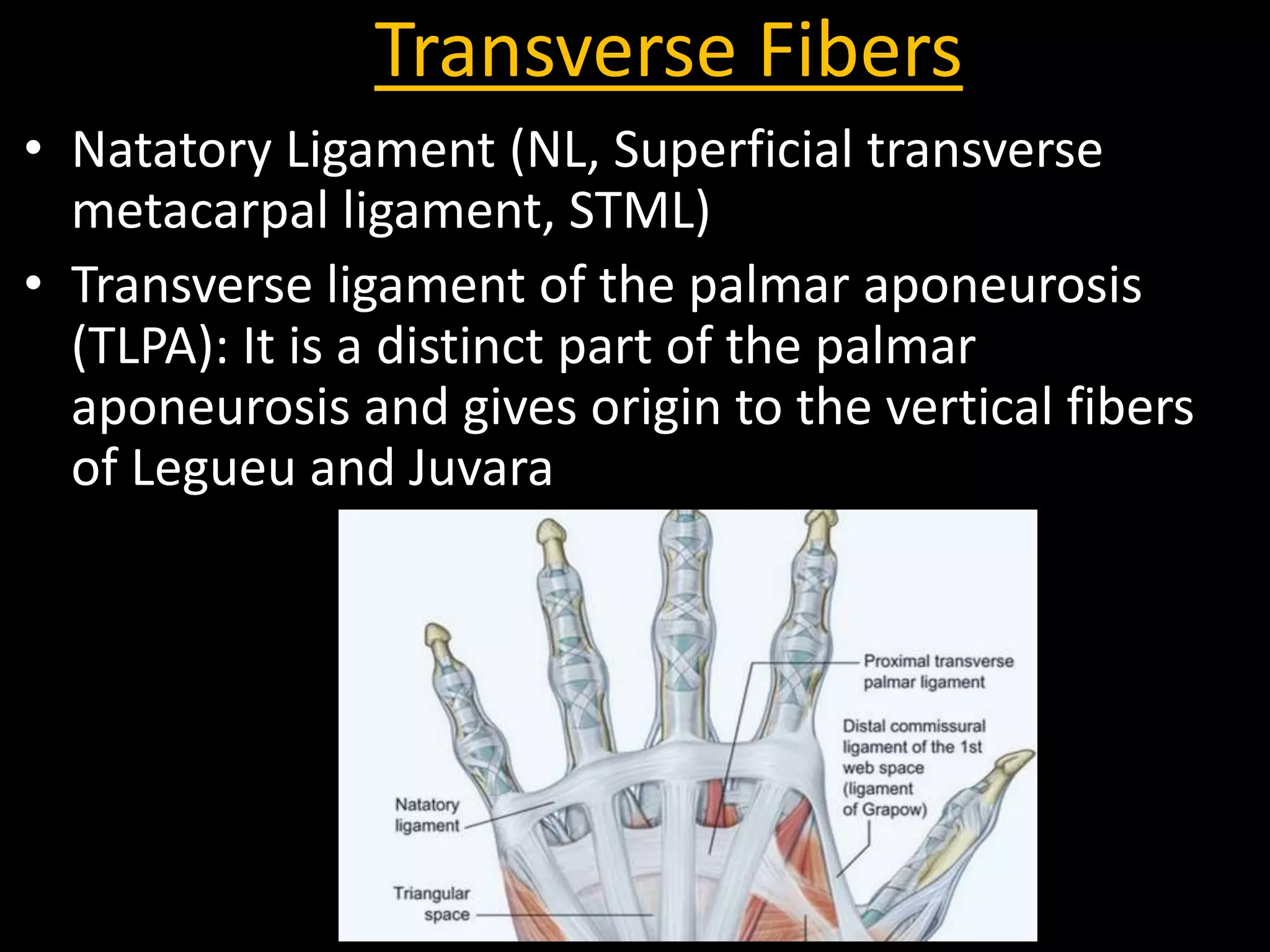 Dupuytrens Contracture | PPTX
