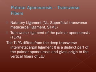 Dupuytrens disease | PPT