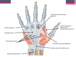 Dupuytren's disease | PPTX