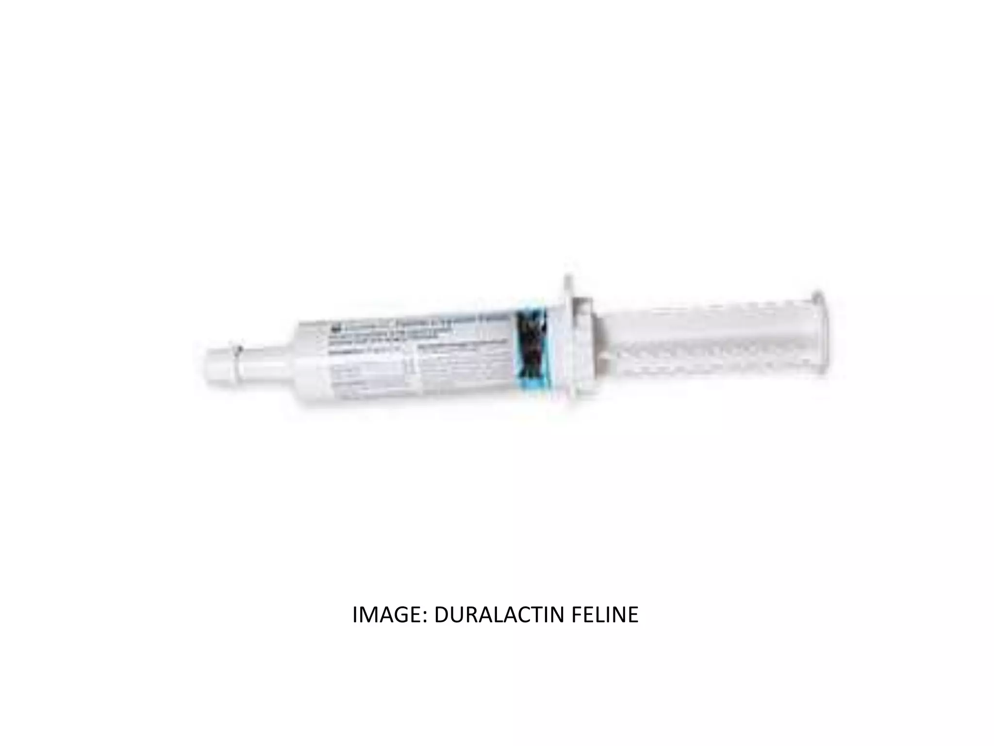 Duralactin Feline | PPT