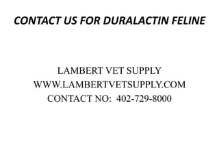 Duralactin Feline | PPT