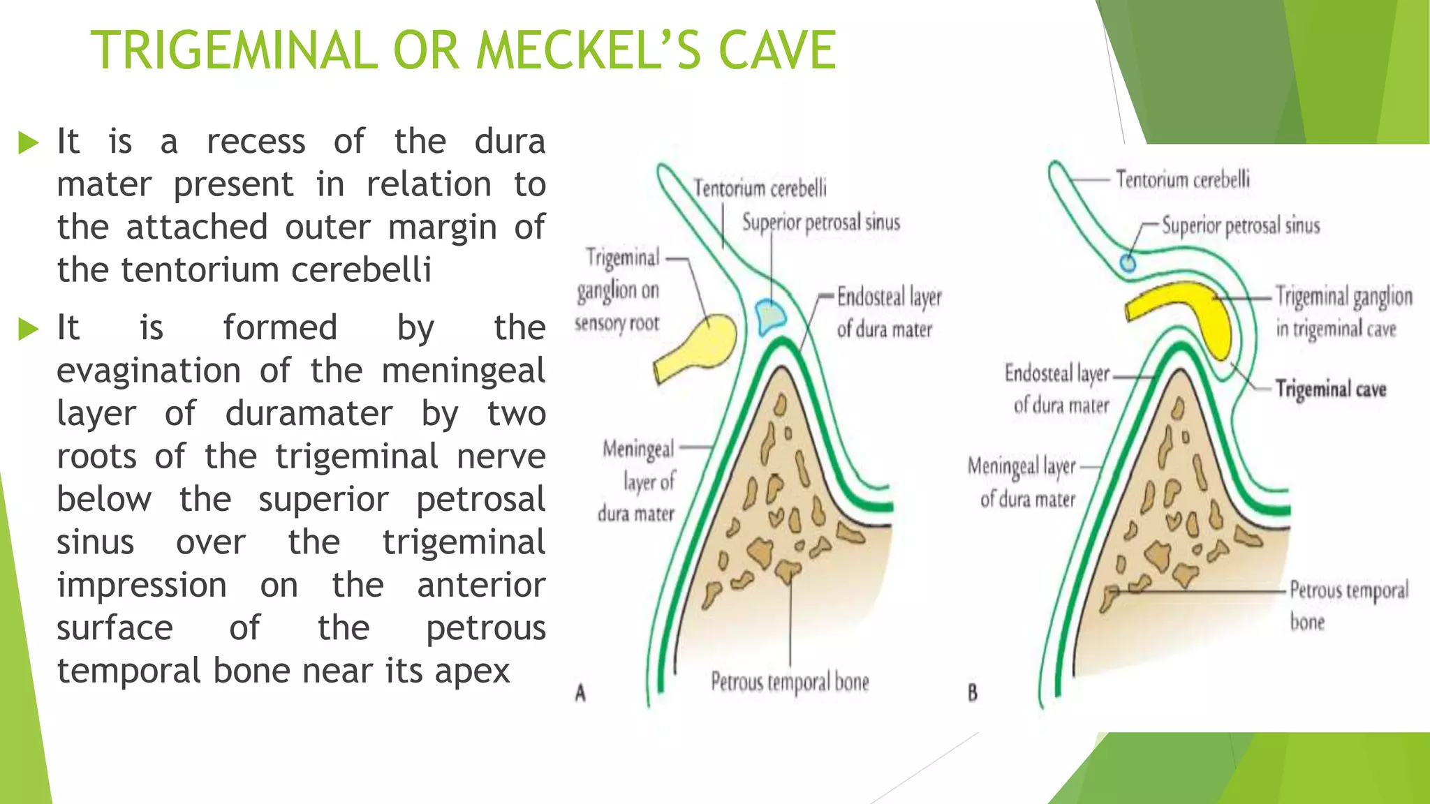 Dural folds and cavernous sinus | PPTX