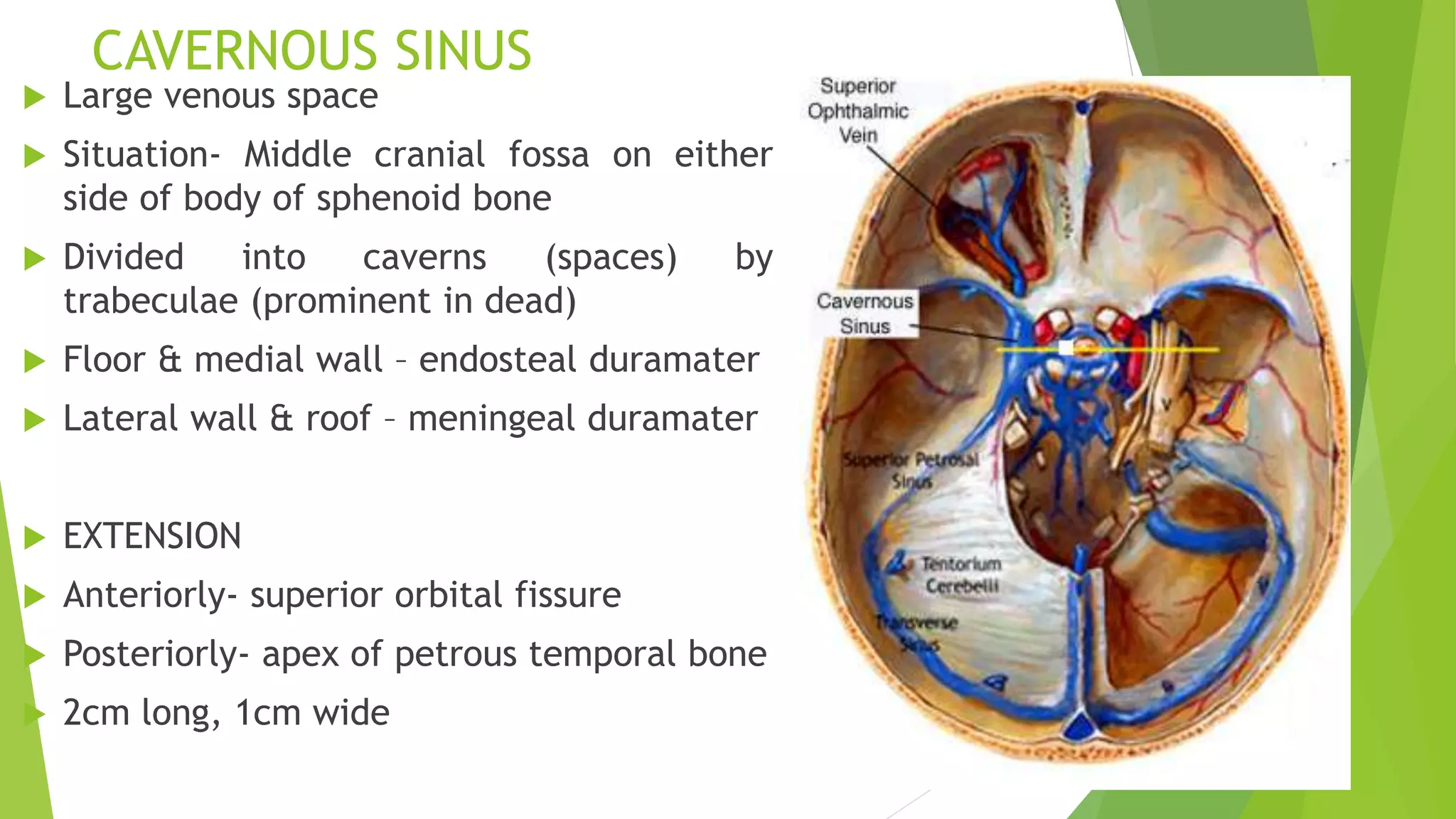 Dural folds and cavernous sinus | PPTX