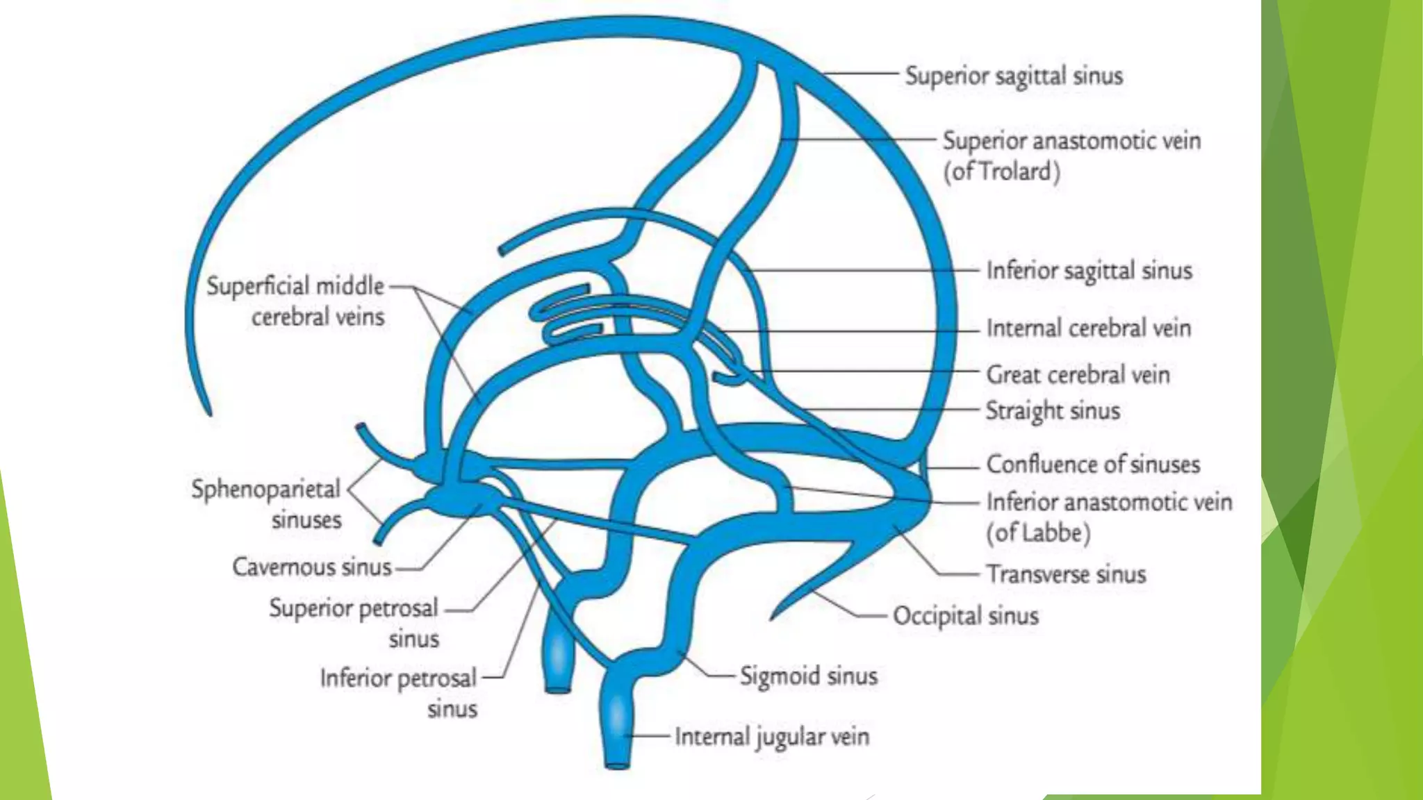 Dural folds and cavernous sinus | PPTX