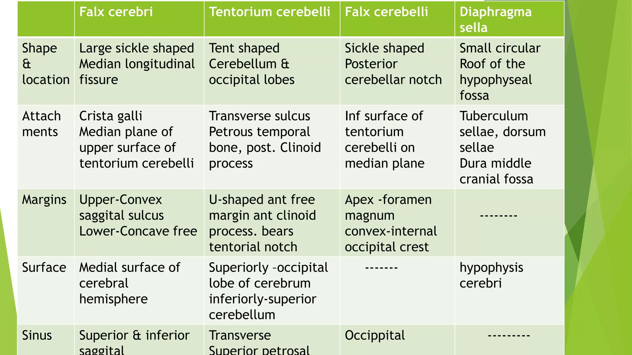 Dural folds and cavernous sinus | PPTX