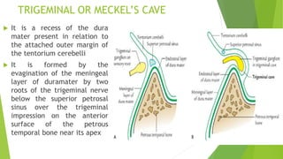 Dural folds and cavernous sinus | PPTX