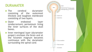 Dural folds and cavernous sinus | PPTX
