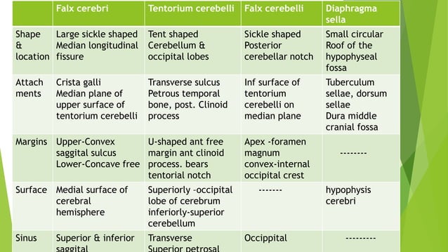 Dural folds and cavernous sinus | PPTX | Death, Injury, or Military ...