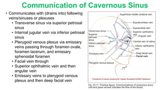 DURAL FOLDS AND DURAL VENOUS SINUS ,APPLIED ASPECTS | PPT