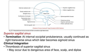 DURAL FOLDS AND DURAL VENOUS SINUS ,APPLIED ASPECTS | PPT