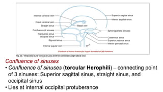 DURAL FOLDS AND DURAL VENOUS SINUS ,APPLIED ASPECTS | PPT