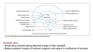 DURAL FOLDS AND DURAL VENOUS SINUS ,APPLIED ASPECTS | PPT