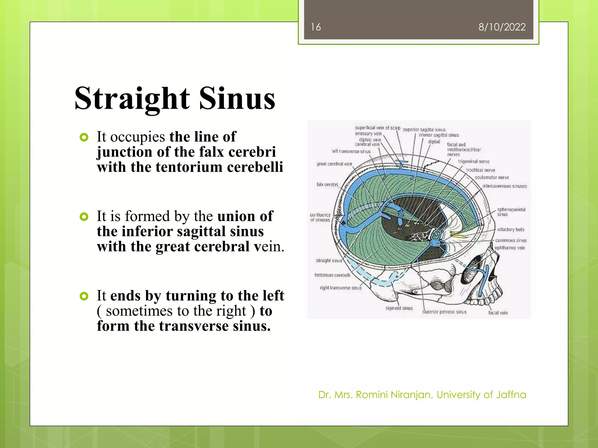 Dural folds dural venous sinuses.pdf