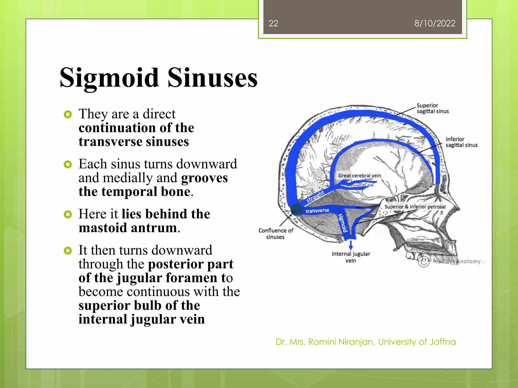Dural folds dural venous sinuses.pdf